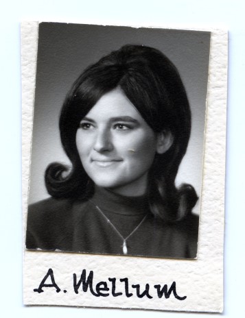 MHS 1970 Senior Class